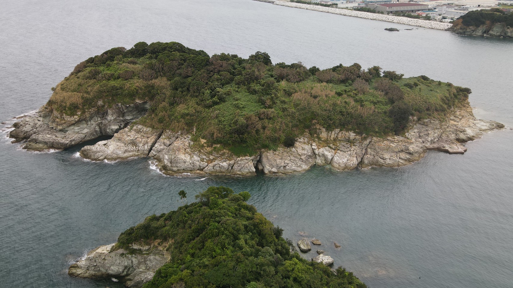 【和歌山県和歌山市】『大島・双子島』の海釣りガイド（釣れる魚・渡し船）｜和歌山釣りwalker